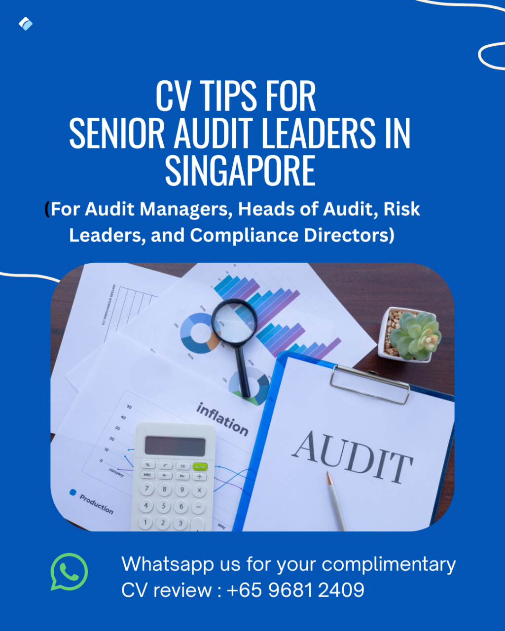 CV Tips for Senior Audit Leaders in Singapore | CV Writer Singapore